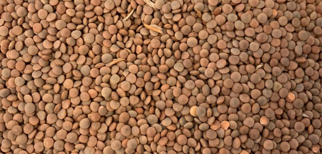 Cloudbreak Grain Marketing | Grain Snippet: Lentil Import Duties Under ...
